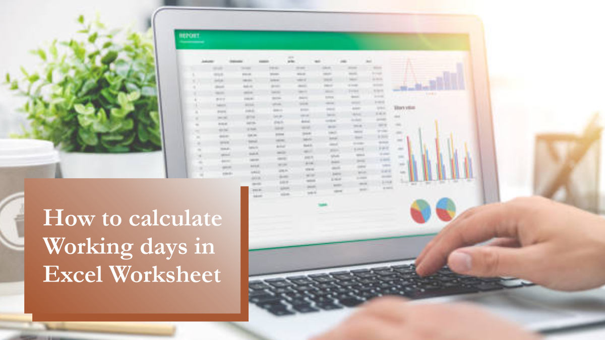 How To Calculate Working Days In Excel with without Holidays Ug