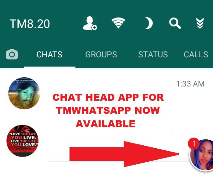 Download TM WhatsApp Chat Head