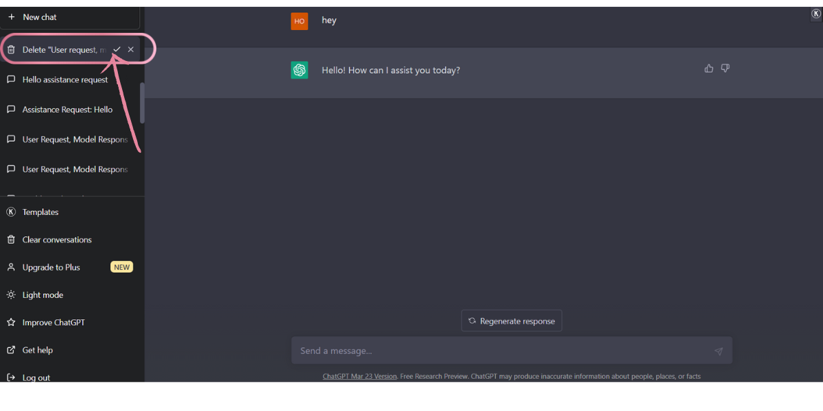 How to Delete Chat GPT Conversation History