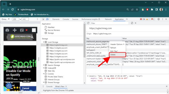 How to Clear Local Storage in Google Chrome for a Website or Extension